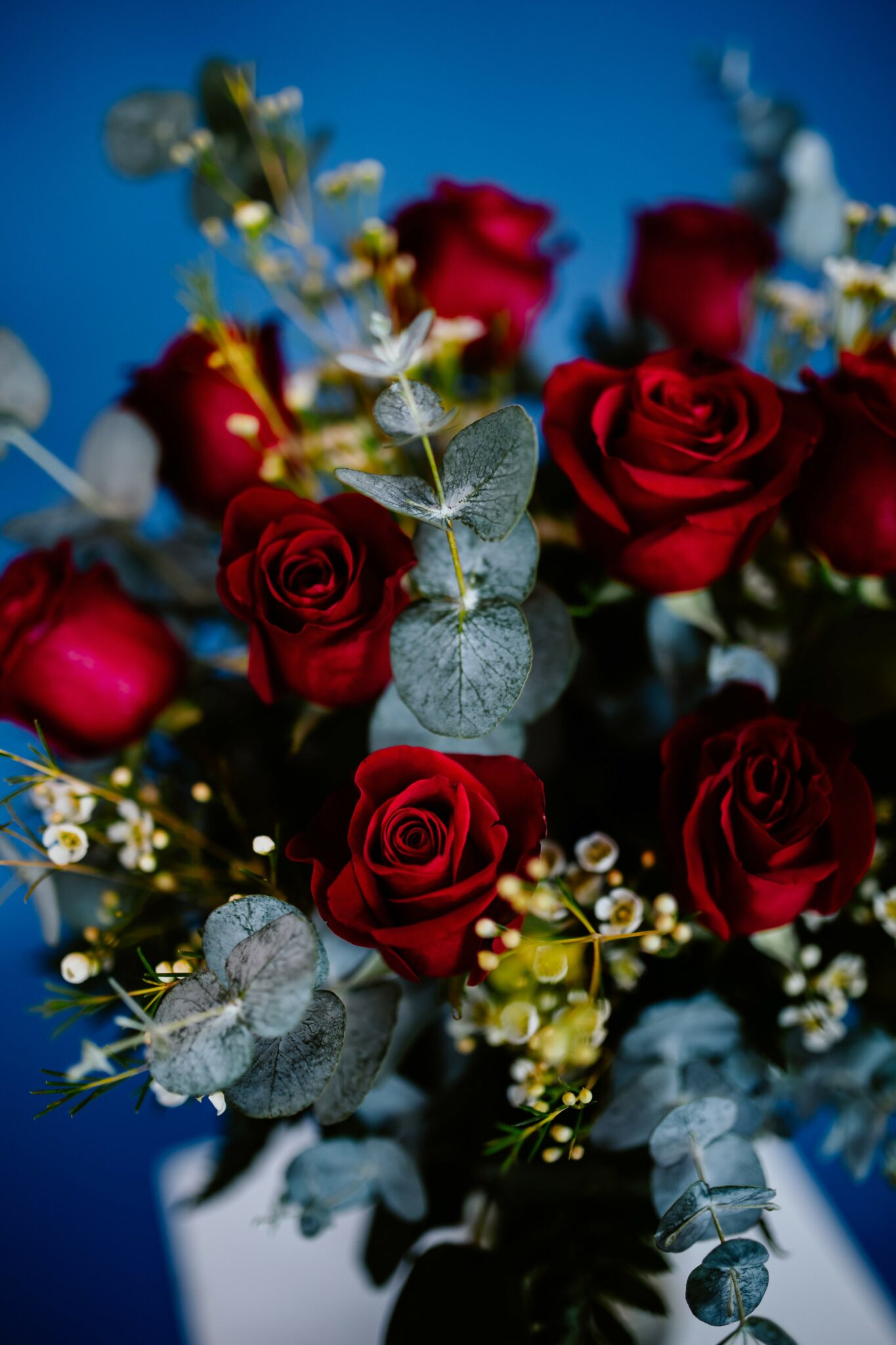 1,000 Red Roses - Matterns Floral