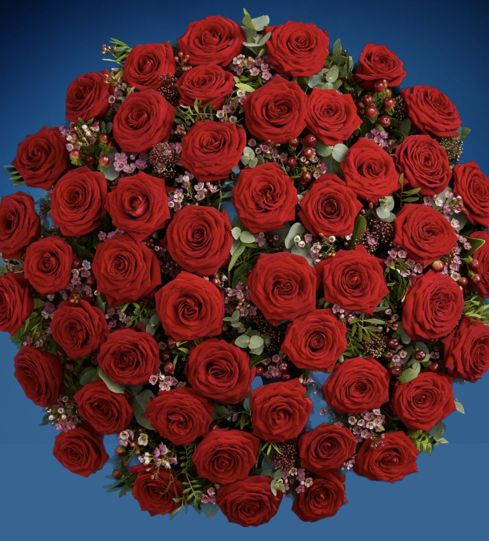 1,000 Red Roses - Matterns Floral